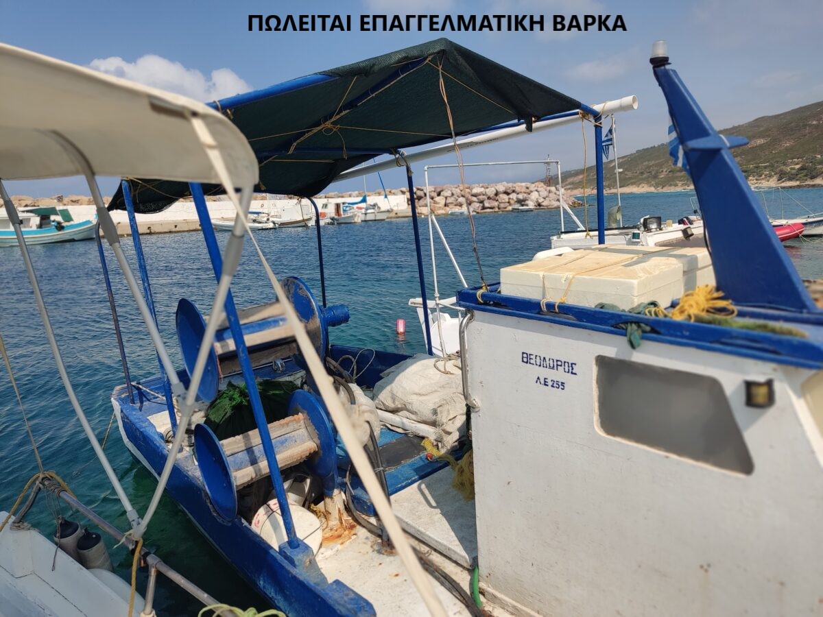 ΠΩΛΕΙΤΑΙ ΕΠΑΓΓΕΛΜΑΤΙΚΗ ΒΑΡΚΑ | Ikaria Trade